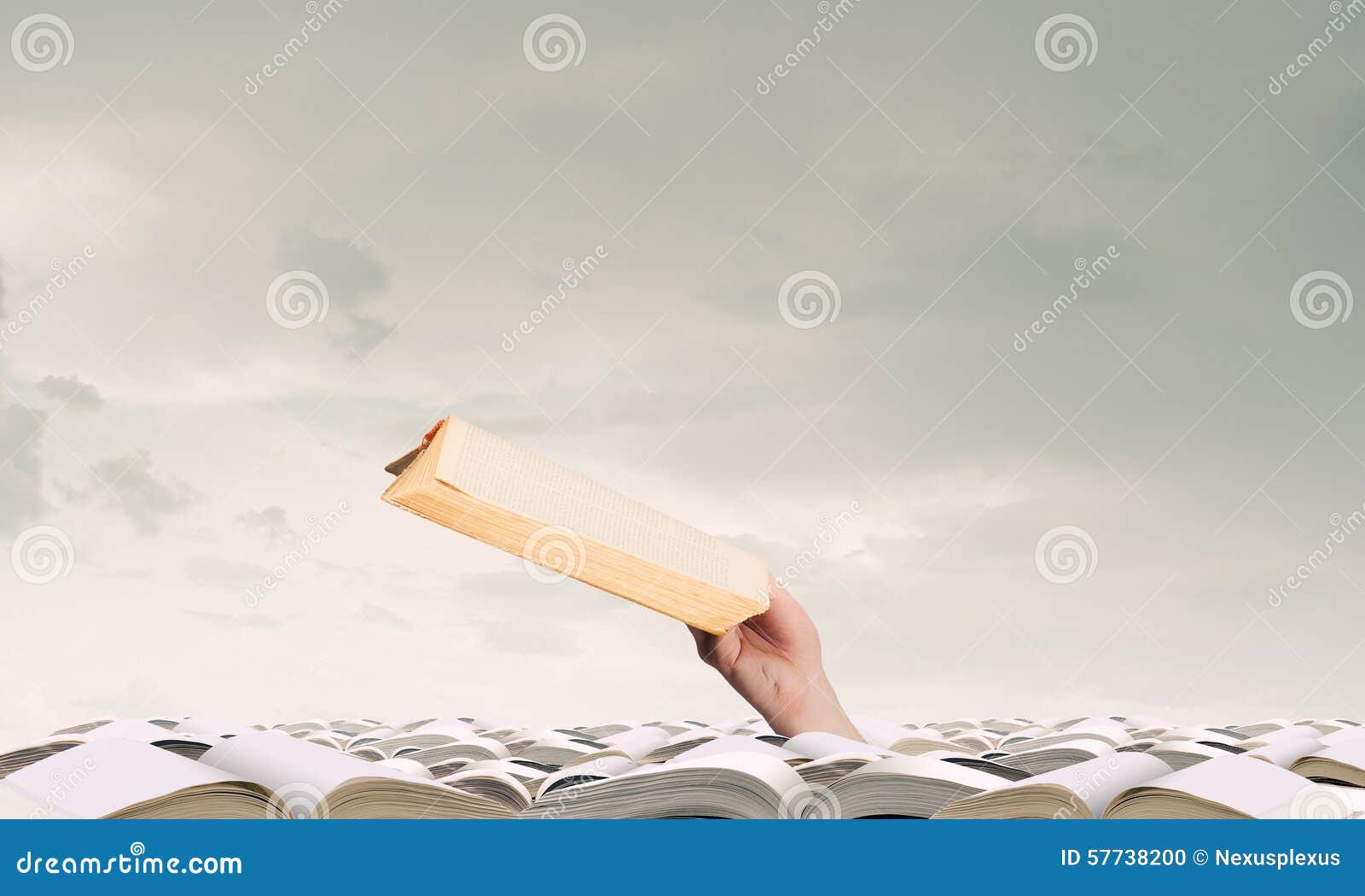 Find your book stock photo. Image of volumes, reach, book - 57738200