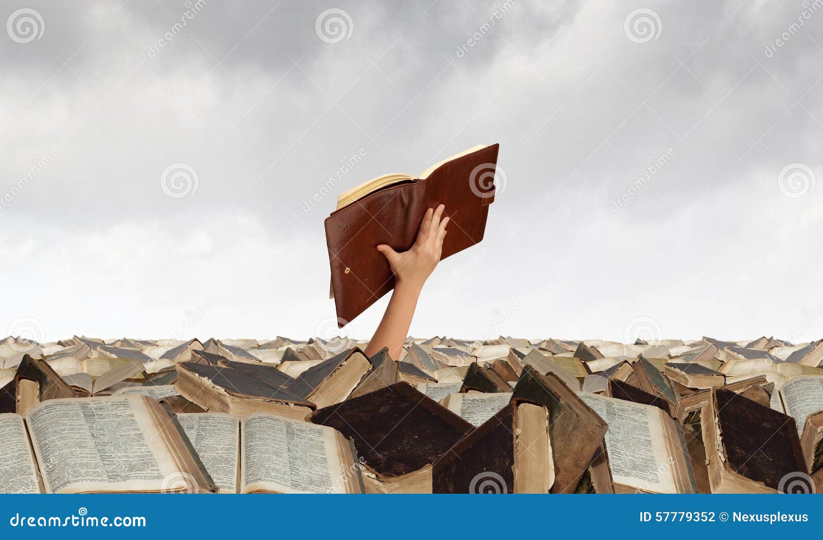 Find your book stock photo. Image of human, knowledge - 57779352