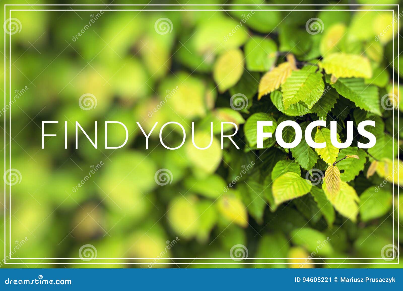 Find Your Focus Green Leaf Background Stock Image - Image of growth ...