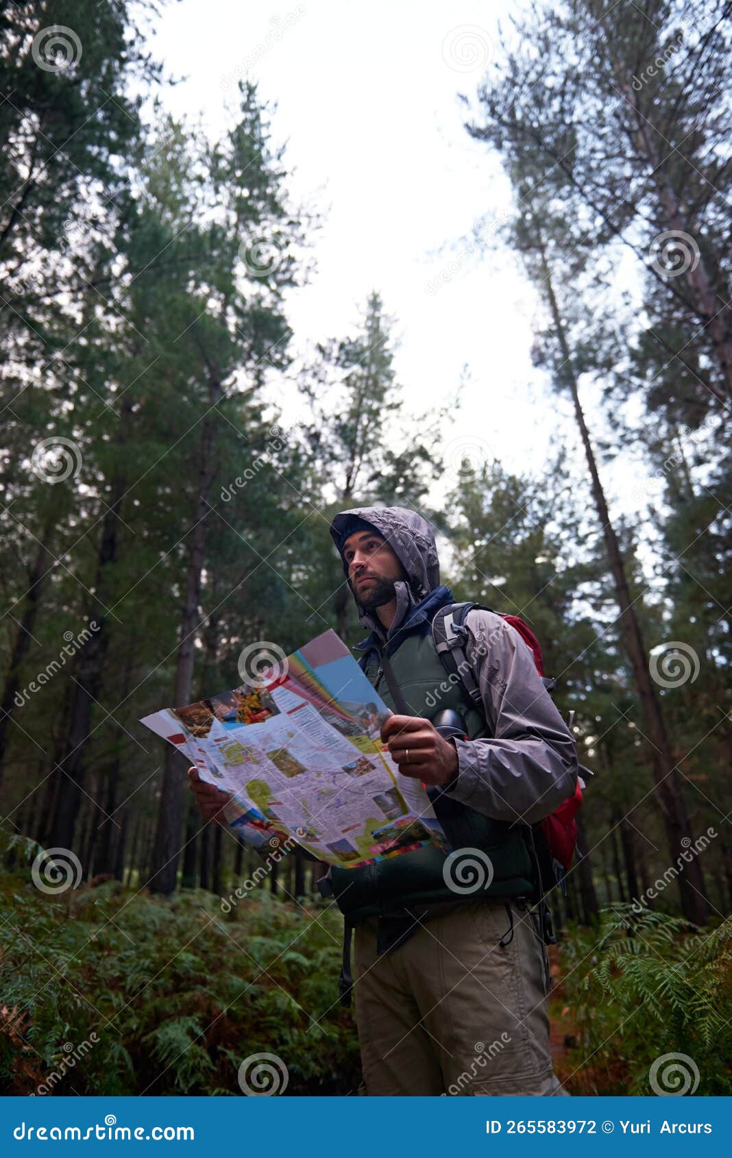 Find Your Path. a Man in a Pine Forest with a Map, Figuring Out His ...