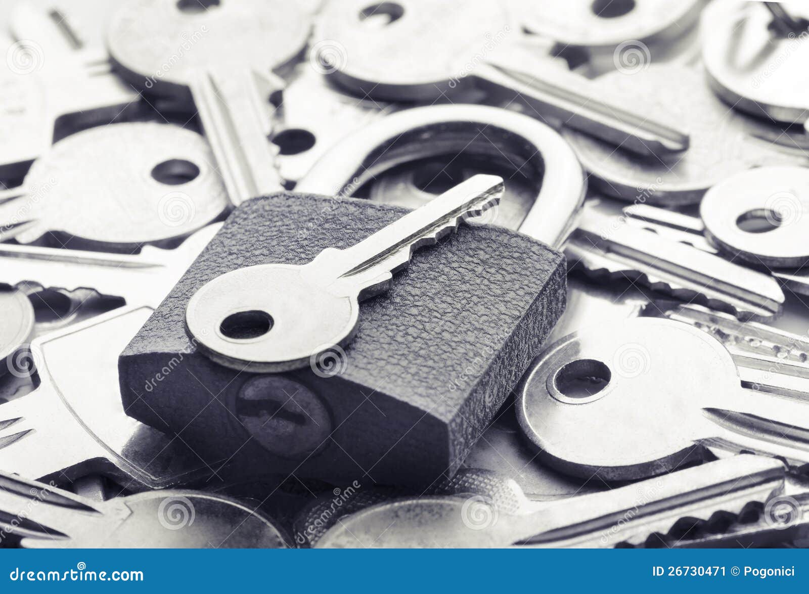 Finding the best option stock image. Image of accessibility - 26730471