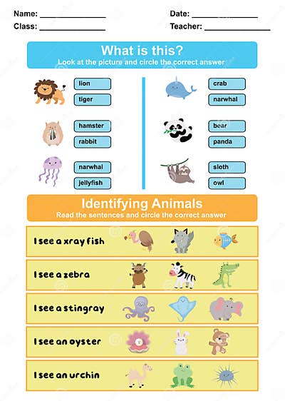 Finding and Circle the Correct Answer. Activity Sheet for Preschool ...