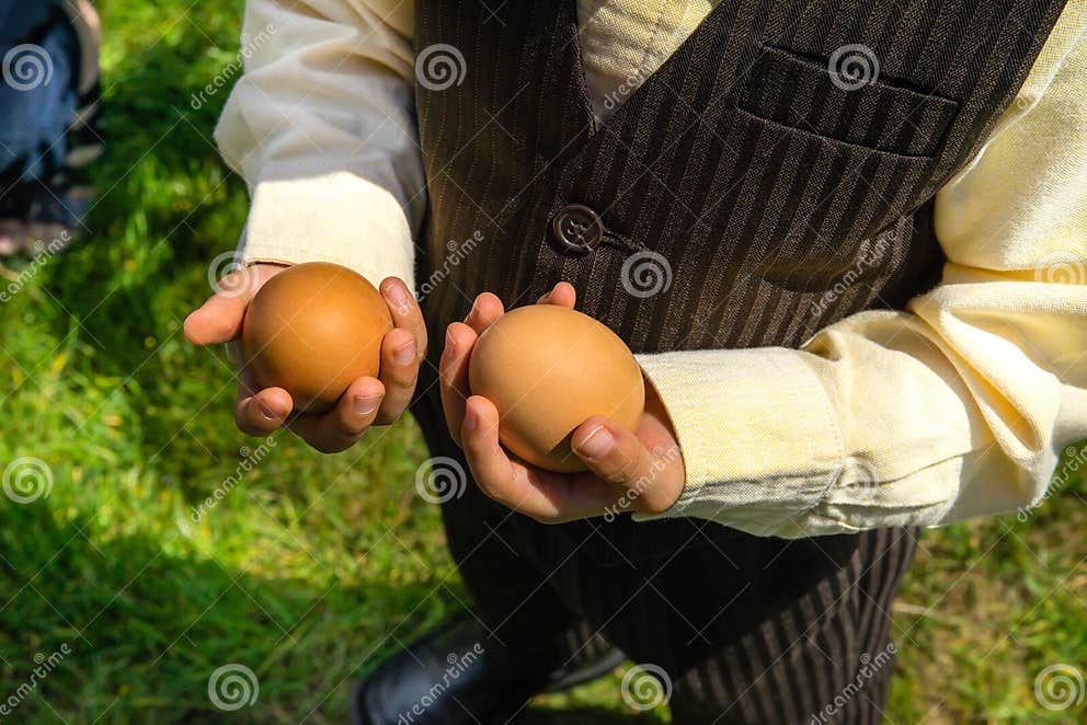 Finding easter eggs stock image. Image of birth, easter - 40651529