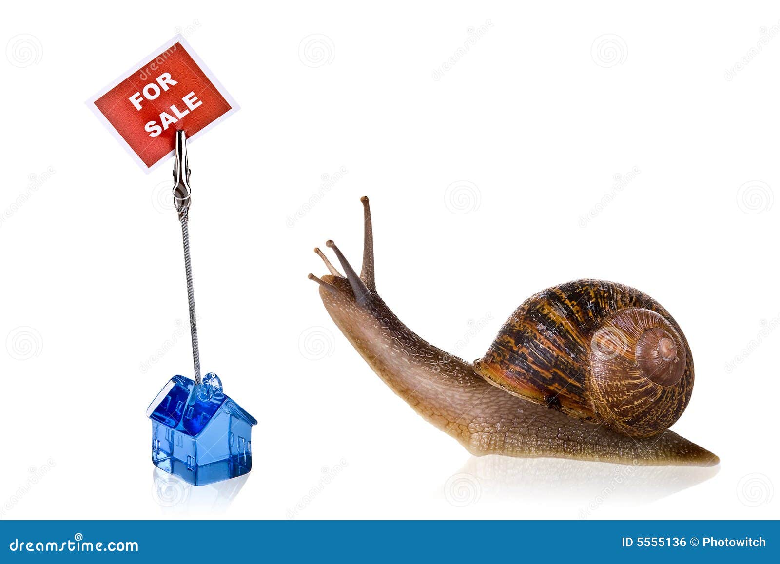 Finding a house stock photo. Image of slow, cute, helix - 5555136