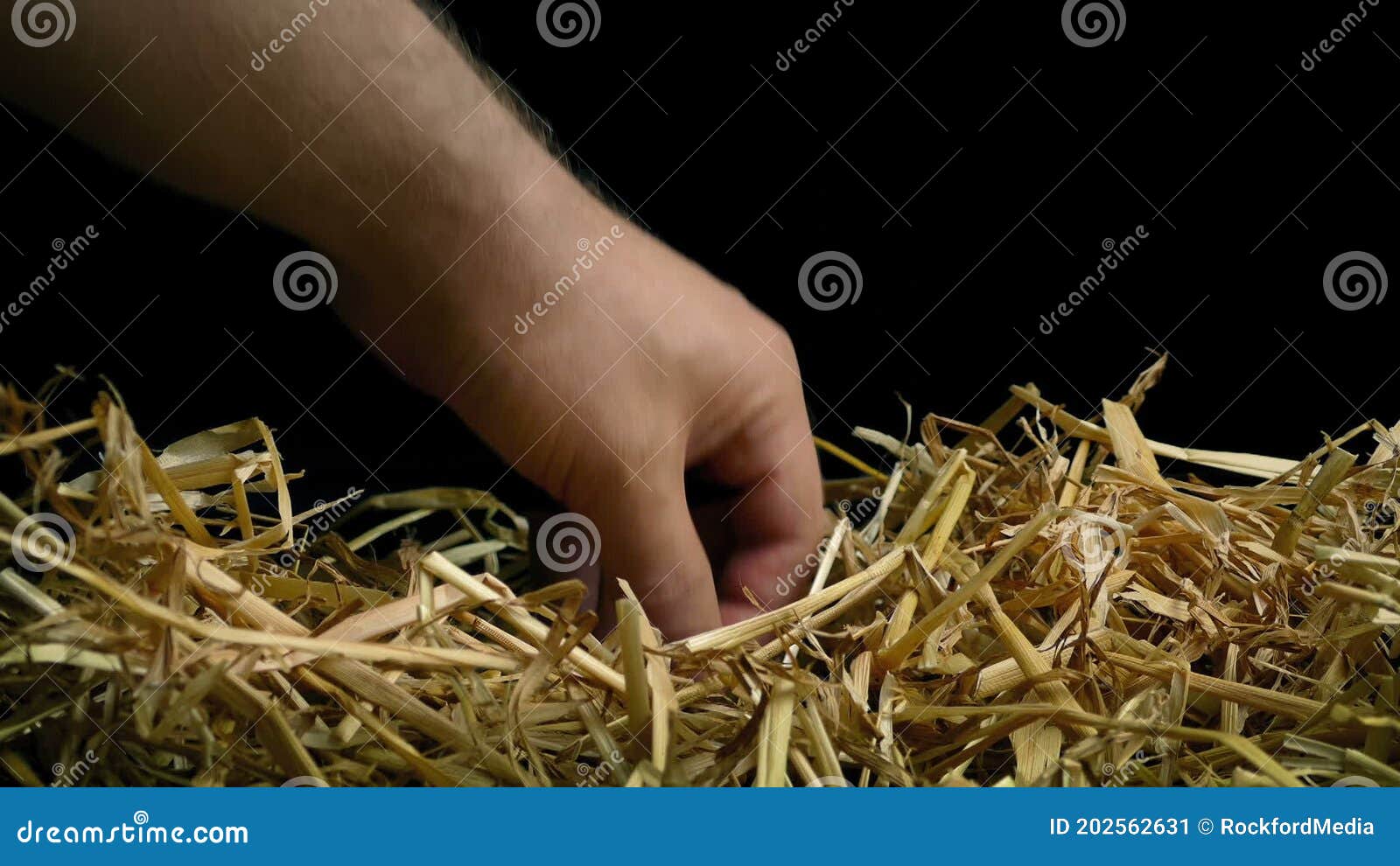 Finding Needle in Haystack - Difficult Challenge, Success Concept Stock ...
