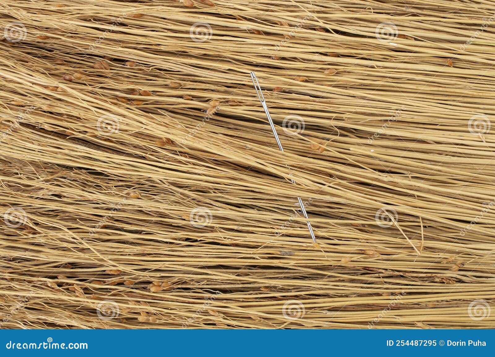 Finding a Needle in a Haystack, Problem Solving Concept Stock Image ...