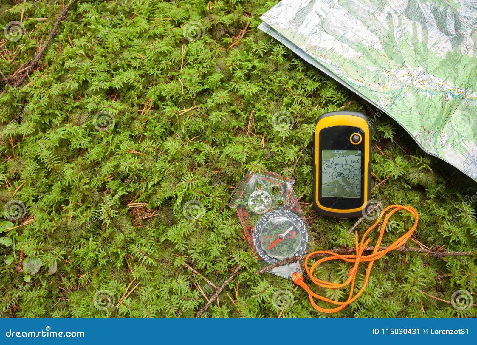 Finding the Right Position in the Forest with a Compass, Map an Stock ...