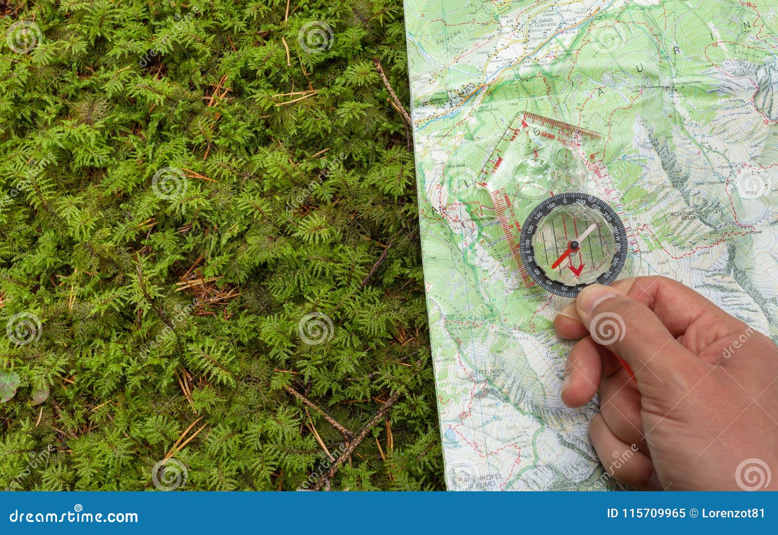 Finding the Right Position in the Forest with a Compass, Map an Stock ...