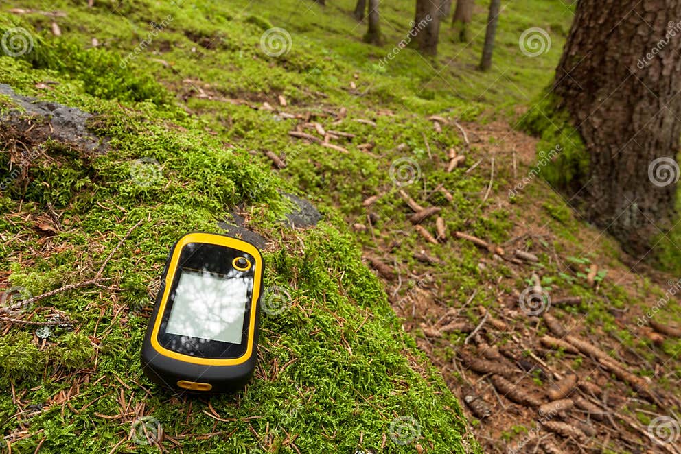 Finding the Right Position in the Forest with a Gps Stock Image - Image ...