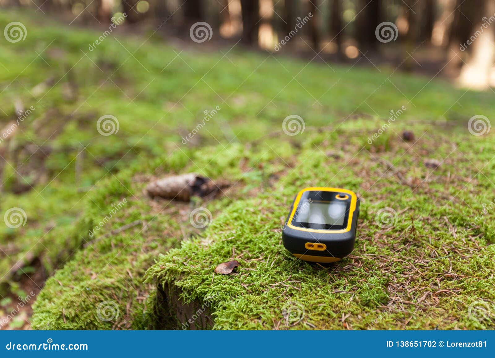 Finding the Right Position in the Forest with a Gps Stock Photo - Image ...