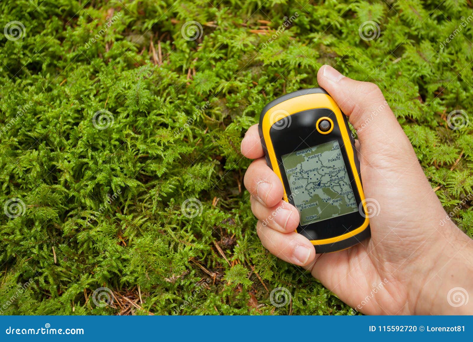Finding the Right Position in the Forest with a Gps Stock Photo - Image ...