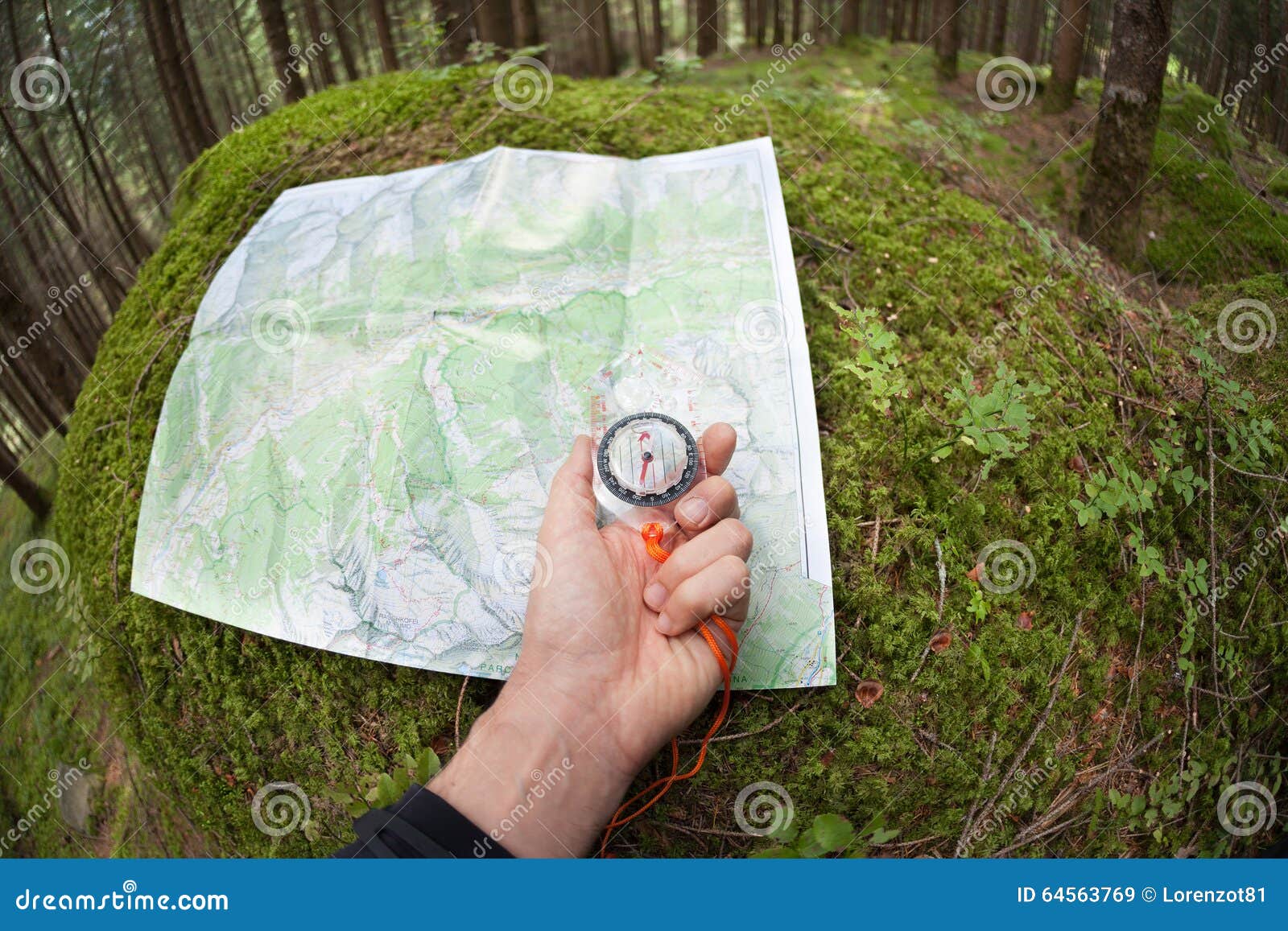 Finding the Right Position in the Forest with a Map and Compass Stock ...