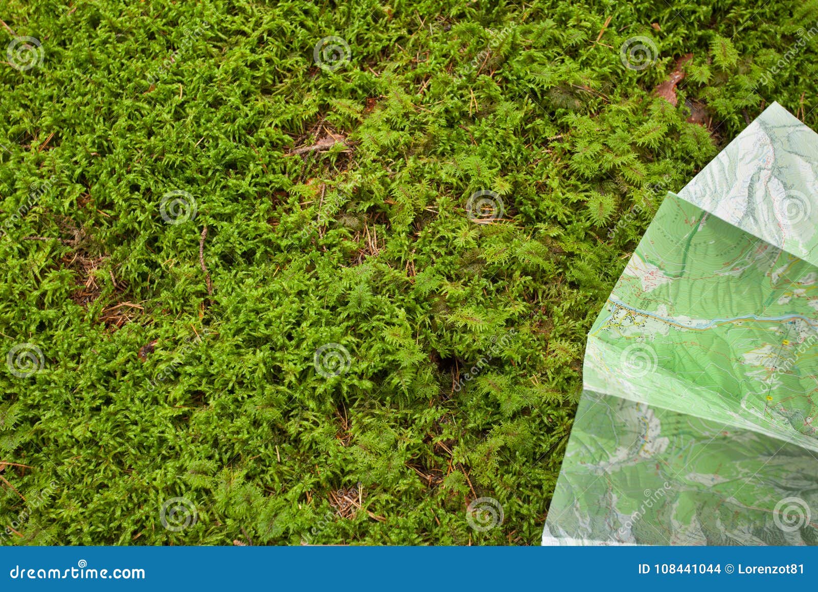 Finding the Right Position in the Forest with a Map Stock Photo - Image ...