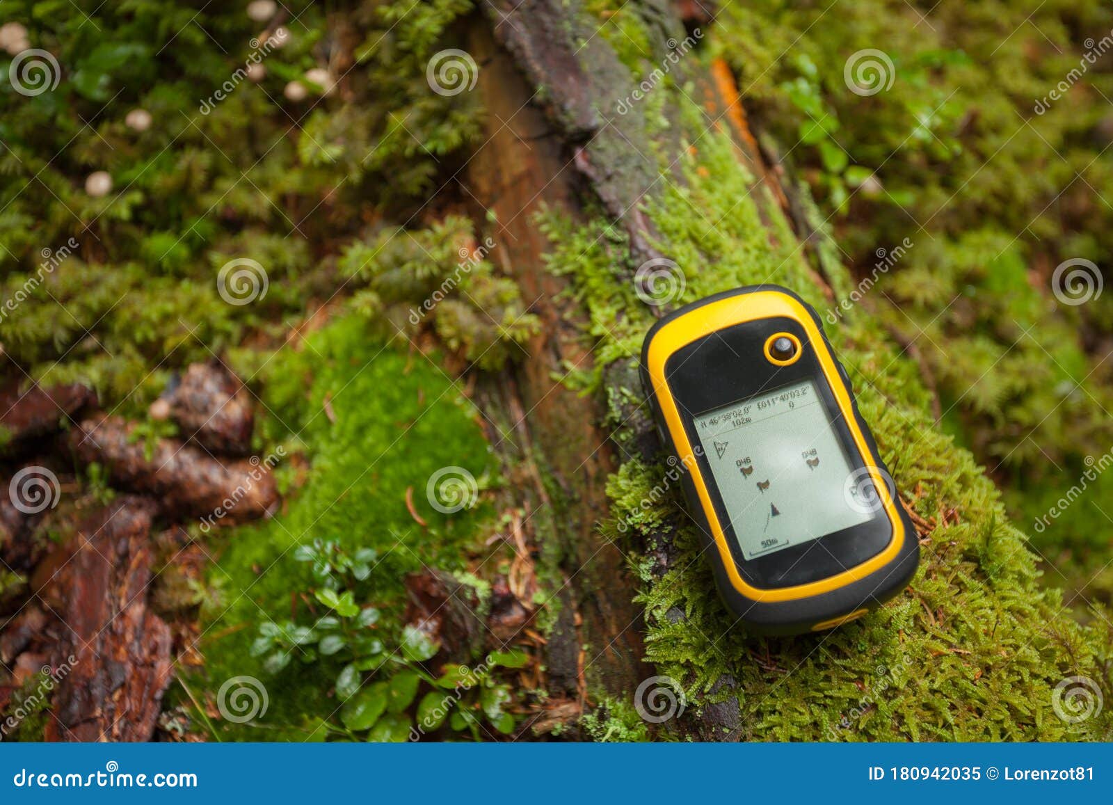 Finding the Right Position in the Forest Via Gps Stock Image - Image of ...