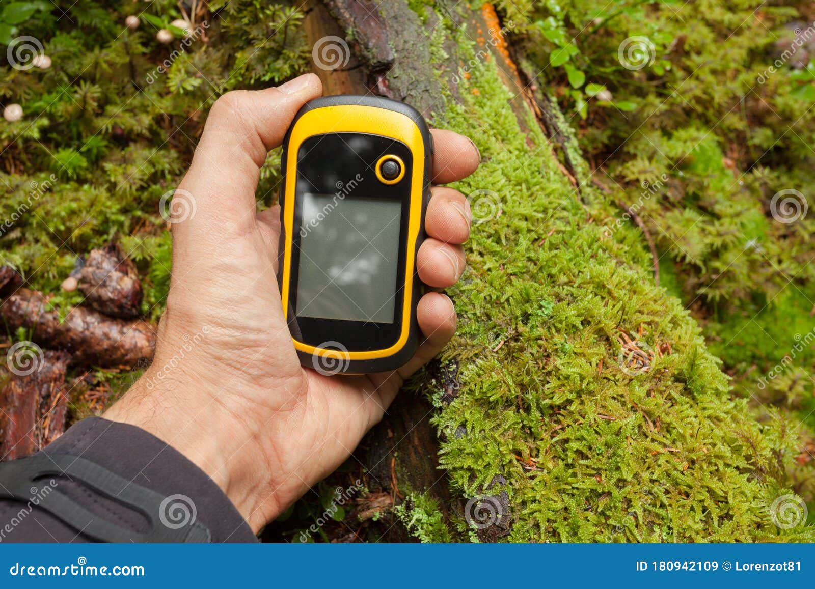 Finding the Right Position in the Forest Via Gps Stock Image - Image of ...