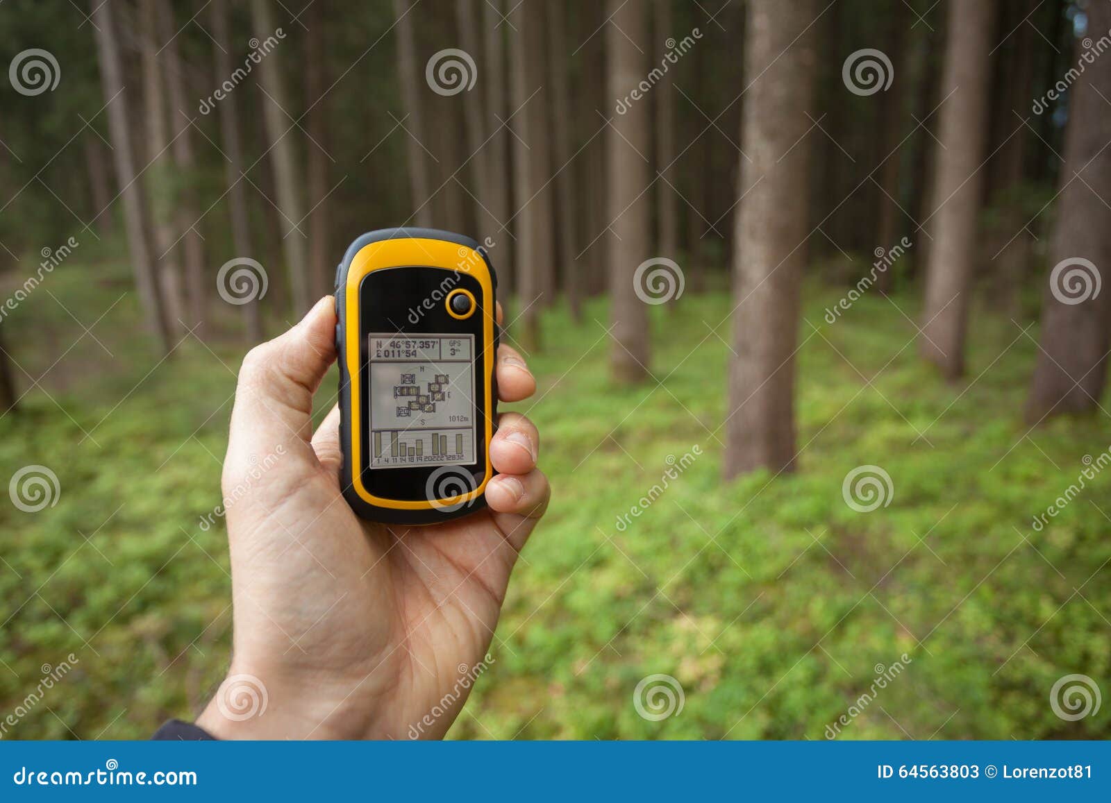 Finding the Right Position in the Forest Via Gps Stock Image - Image of ...