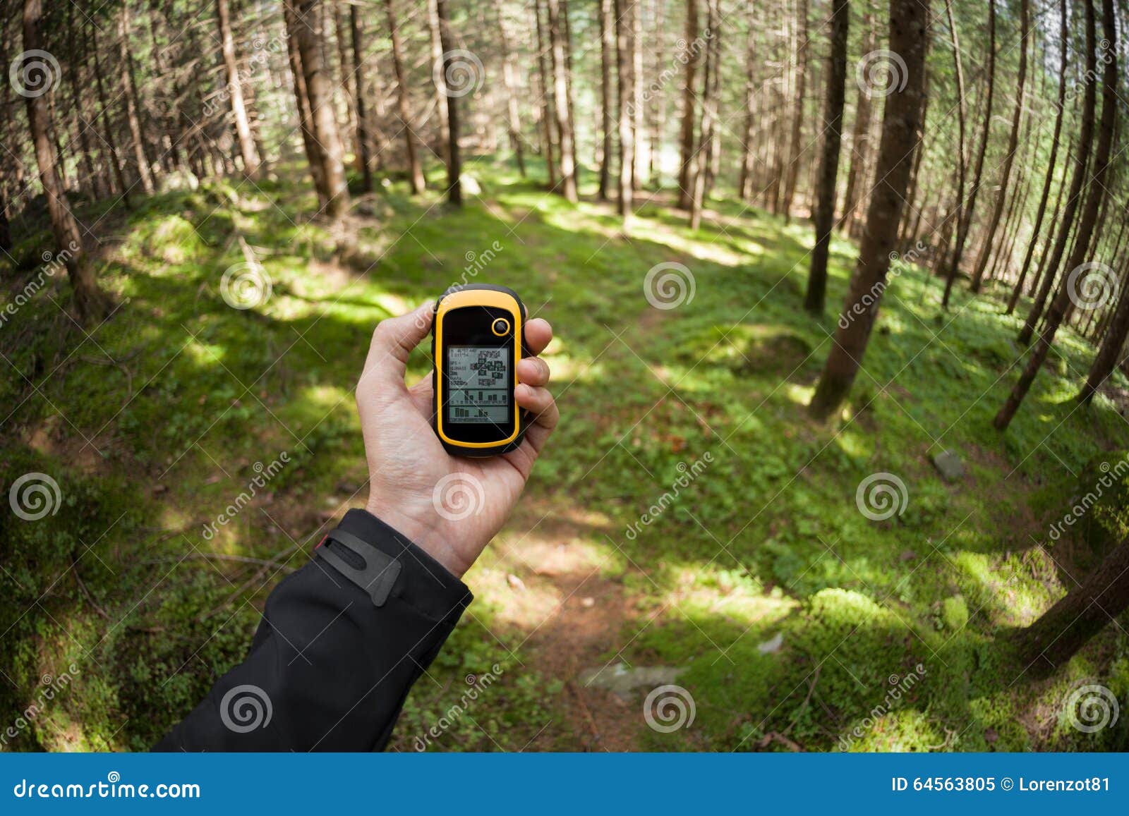 Finding the Right Position in the Forest Via Gps Stock Image - Image of ...