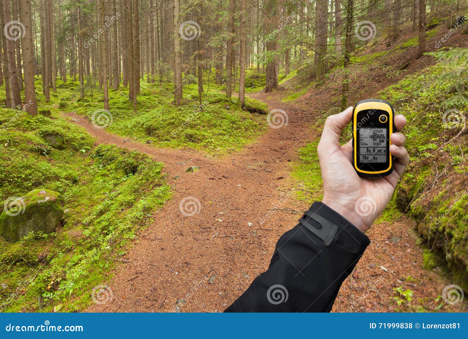 Finding the Right Position in the Forest Via Gps Stock Photo - Image of ...