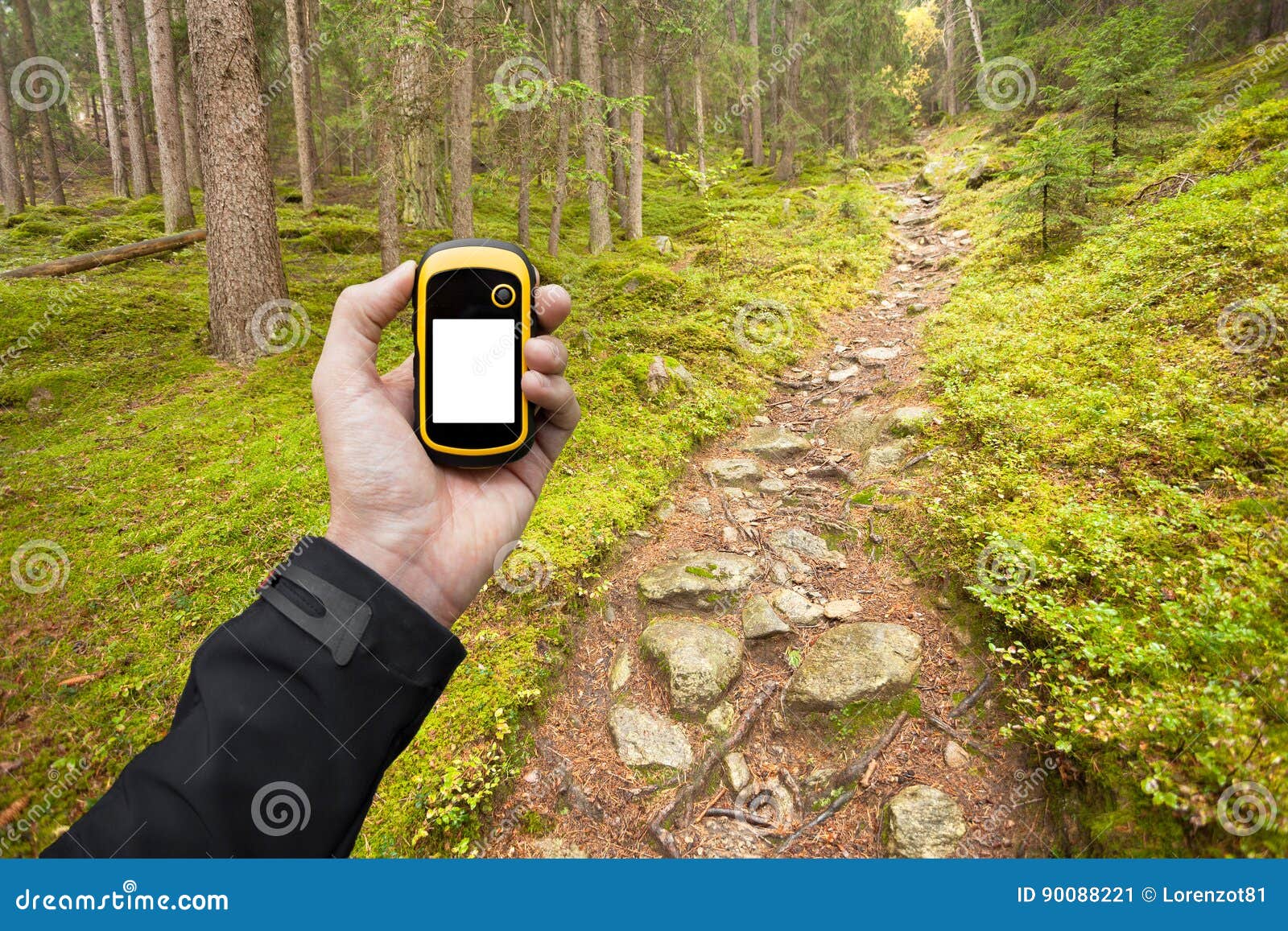 Finding the Right Position in the Forest Via Gps Stock Image - Image of ...
