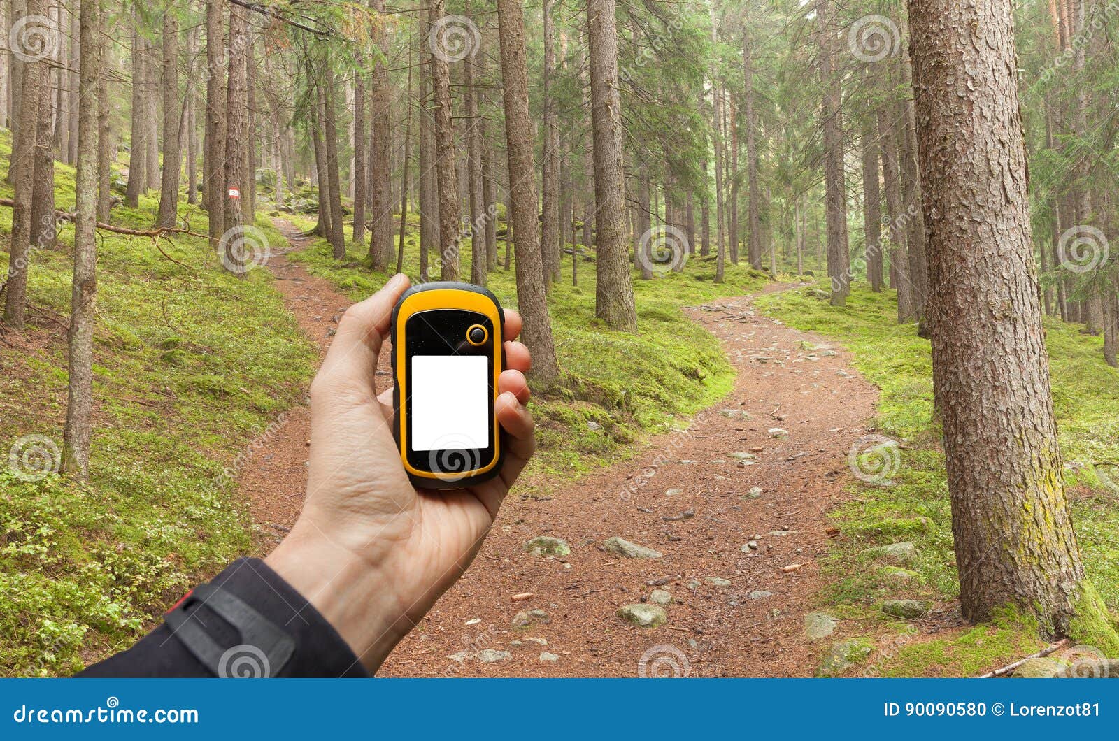 Finding the Right Position in the Forest Via Gps Stock Photo - Image of ...