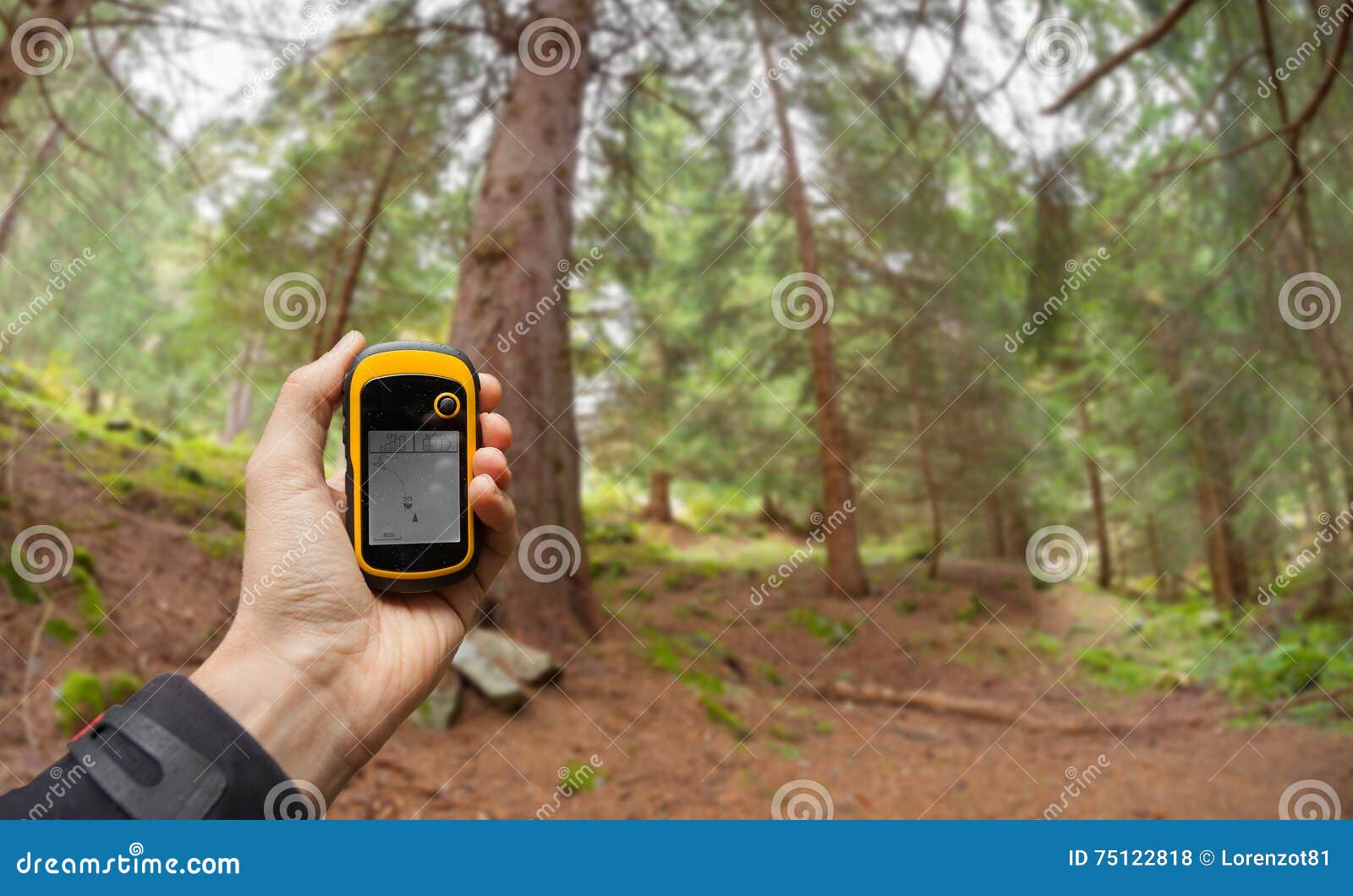 Finding the Right Position in the Forest Via Gps ( Blurred Background ...
