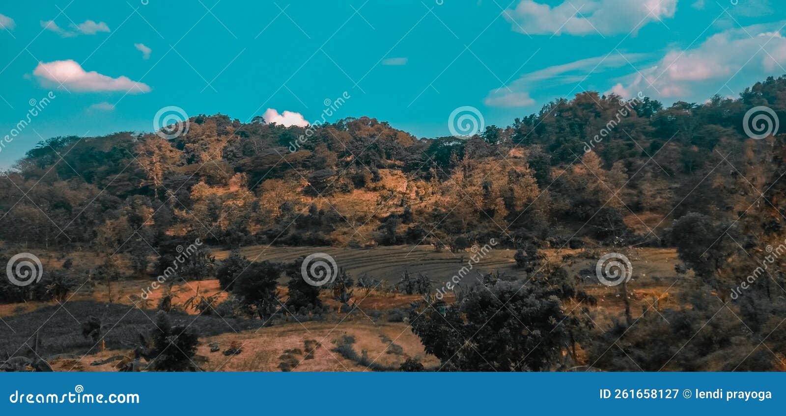 Finding Something Beautiful is Not As Difficult As it Looks Stock Image ...