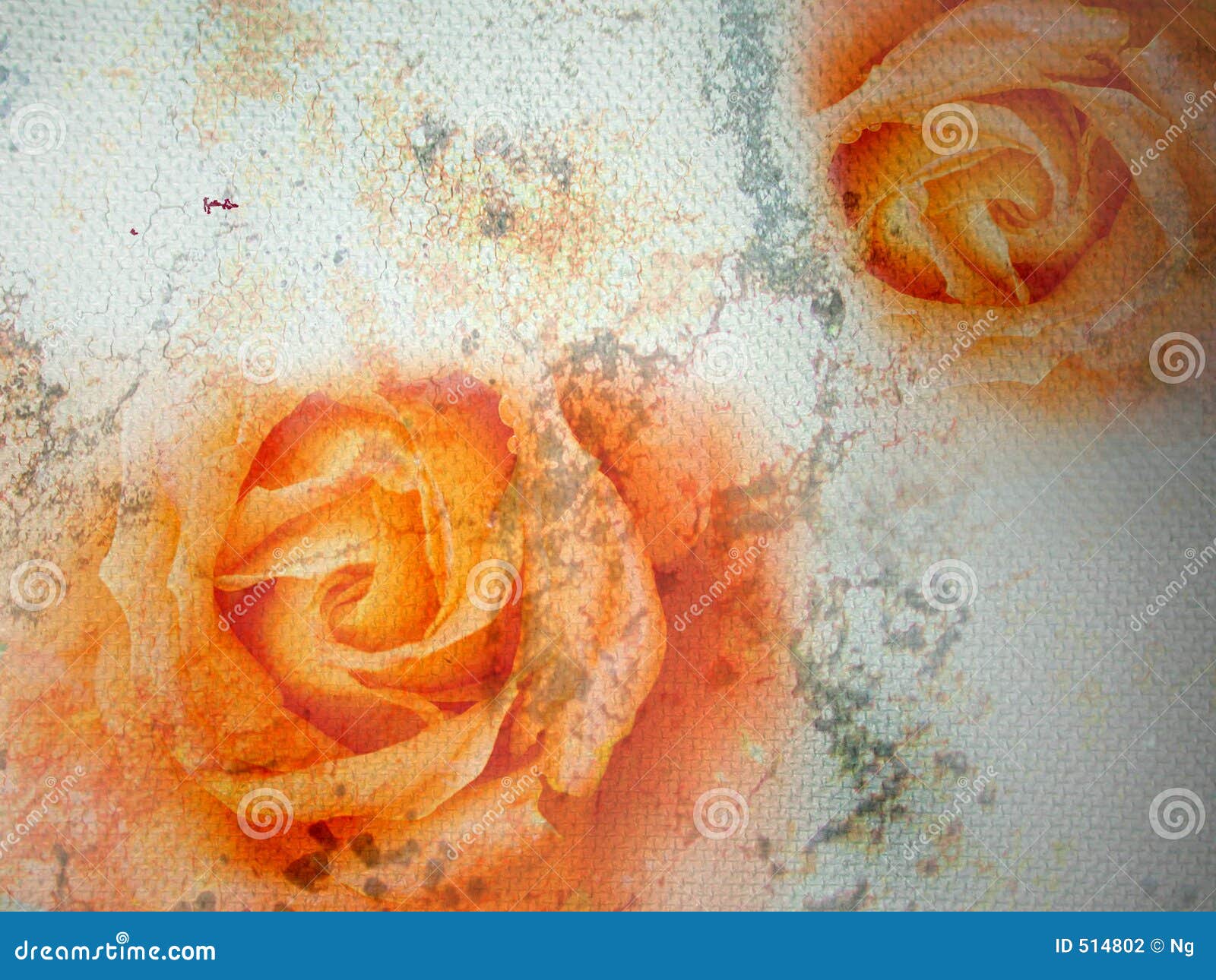 Fine Art Illustration - Stone Roses Stock Illustration - Illustration ...