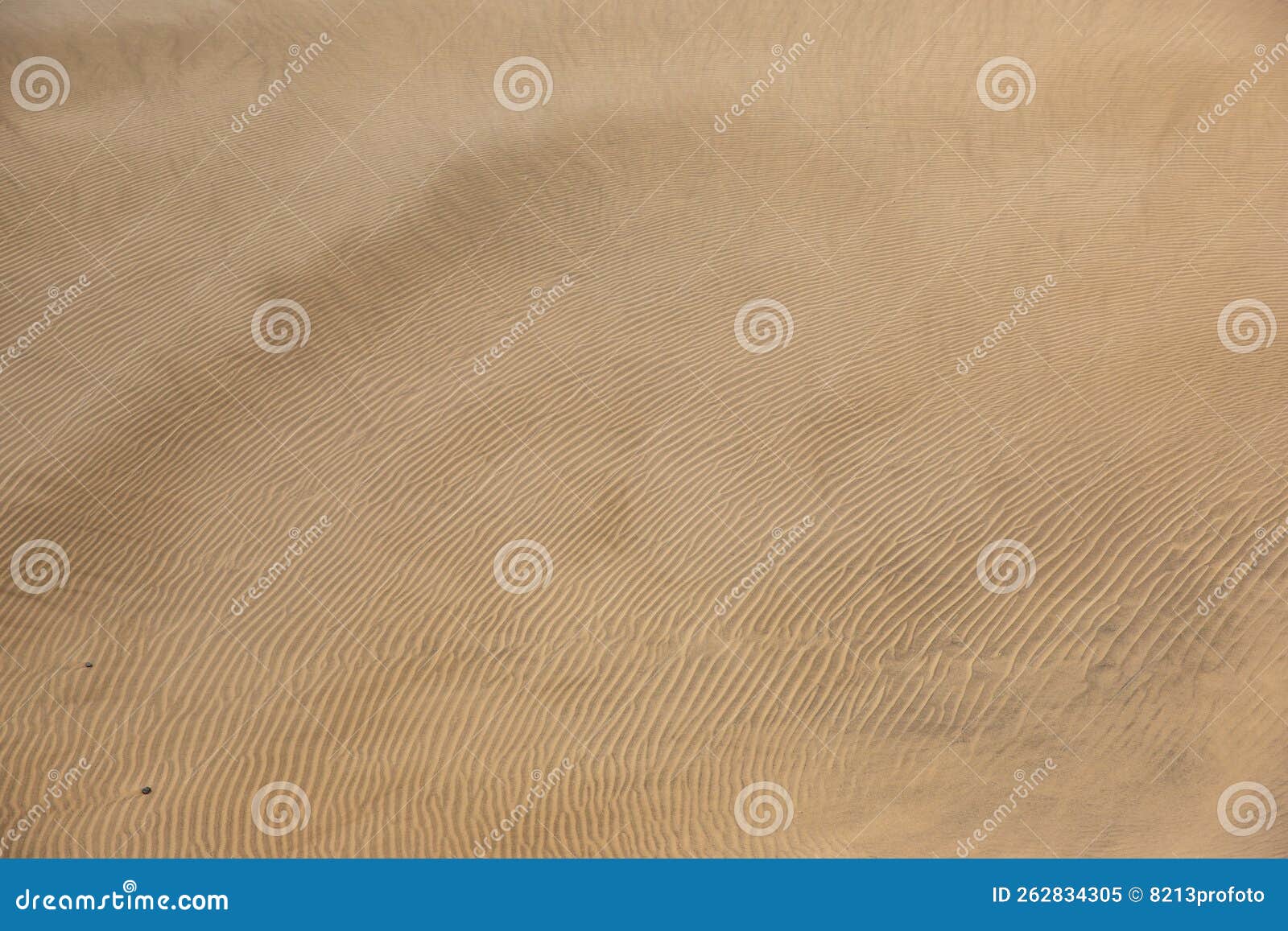 Fine Beach Sand in the Summer Sun. Sand Texture. Sandy Beach for ...