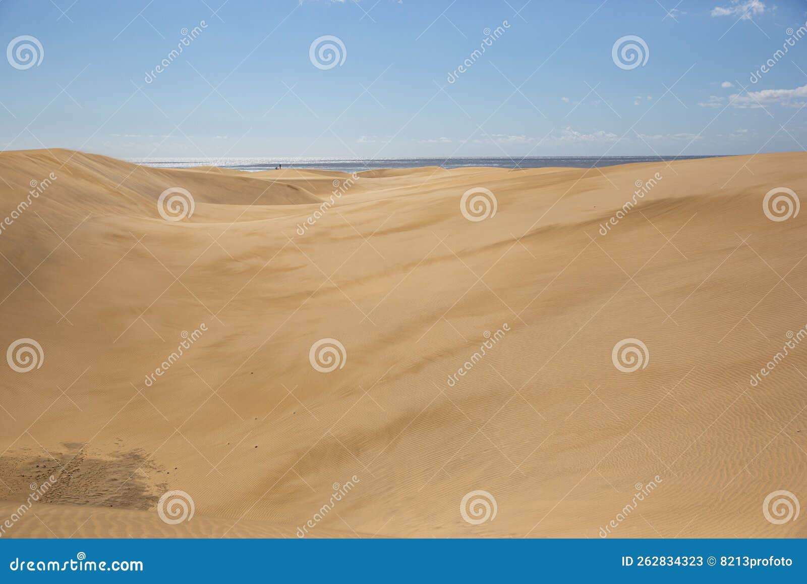 Fine Beach Sand in the Summer Sun. Sand Texture. Sandy Beach for ...