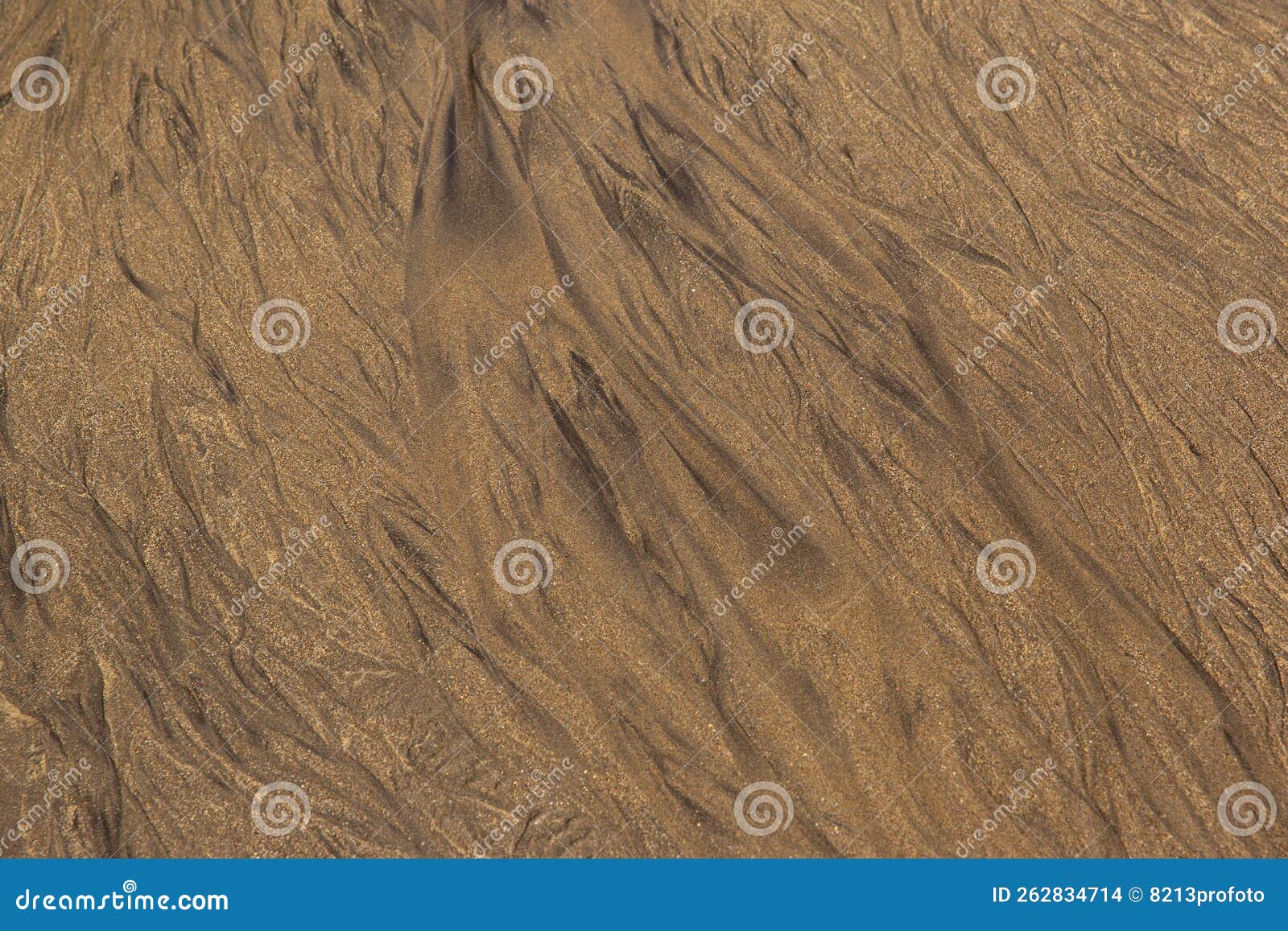 Fine Beach Sand In The Summer Sun. Sand Texture. Sandy Beach For ...