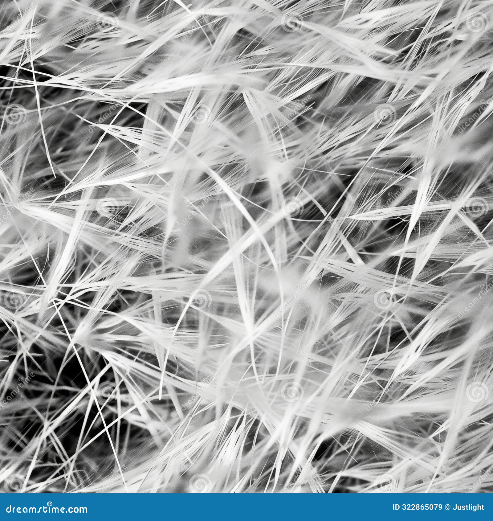 The Fine Blades of Grass Dance in the Wind Creating a Mesmerizing ...