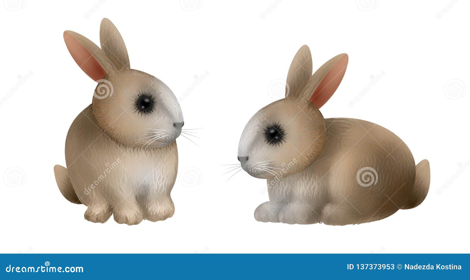 Fine Bunny Rabbit stock vector. Illustration of animal - 137373953