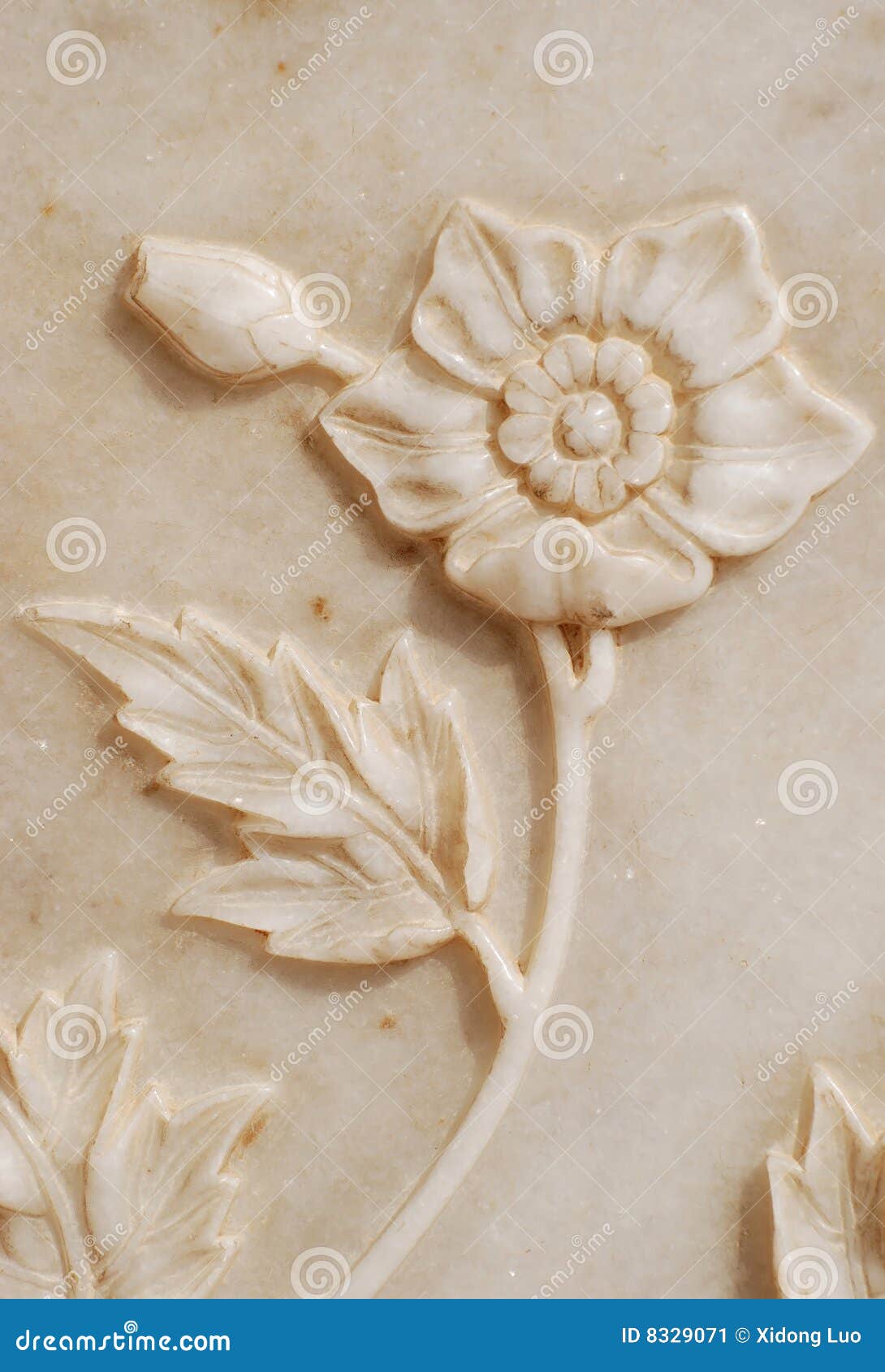 Fine Carves of Flower stock image. Image of white, carve - 8329071