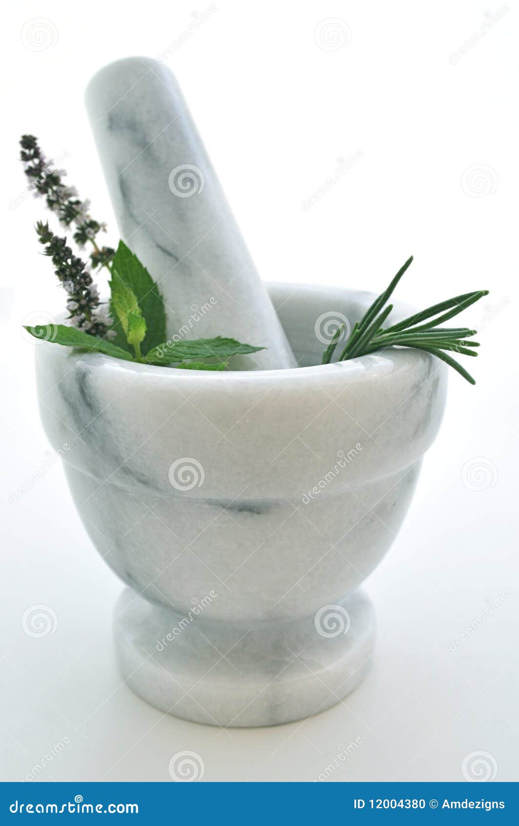 Fine Del Pestello E Del Mortaio in Su Fotografia Stock - Immagine di ...