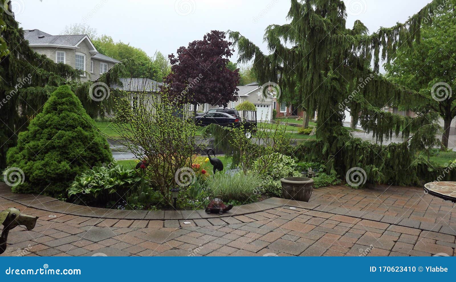 Fine Example of Urban Landscaping with Shrubs and Trees Stock Photo ...