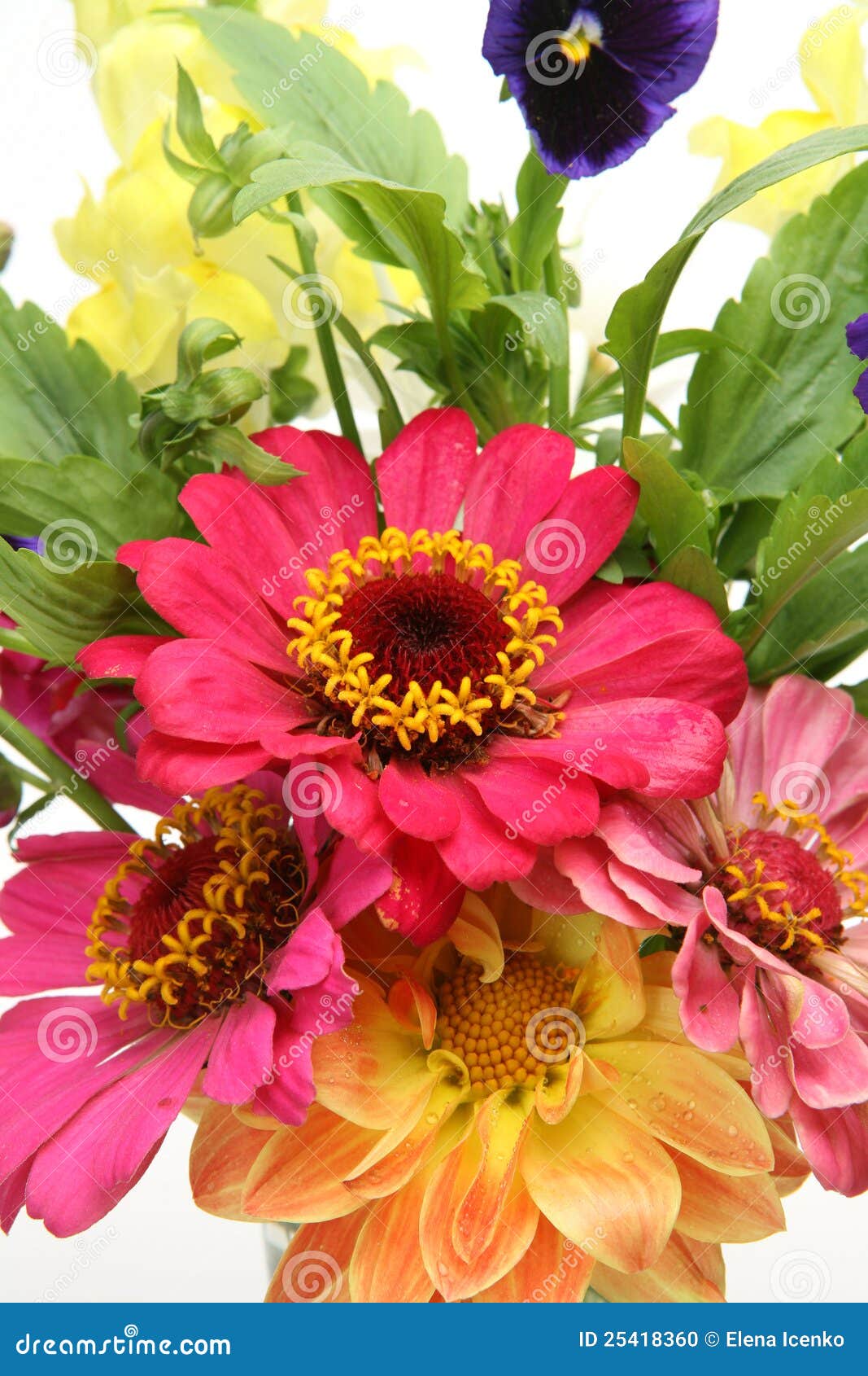 Fine flowers stock photo. Image of happiness, love, decorative - 25418360
