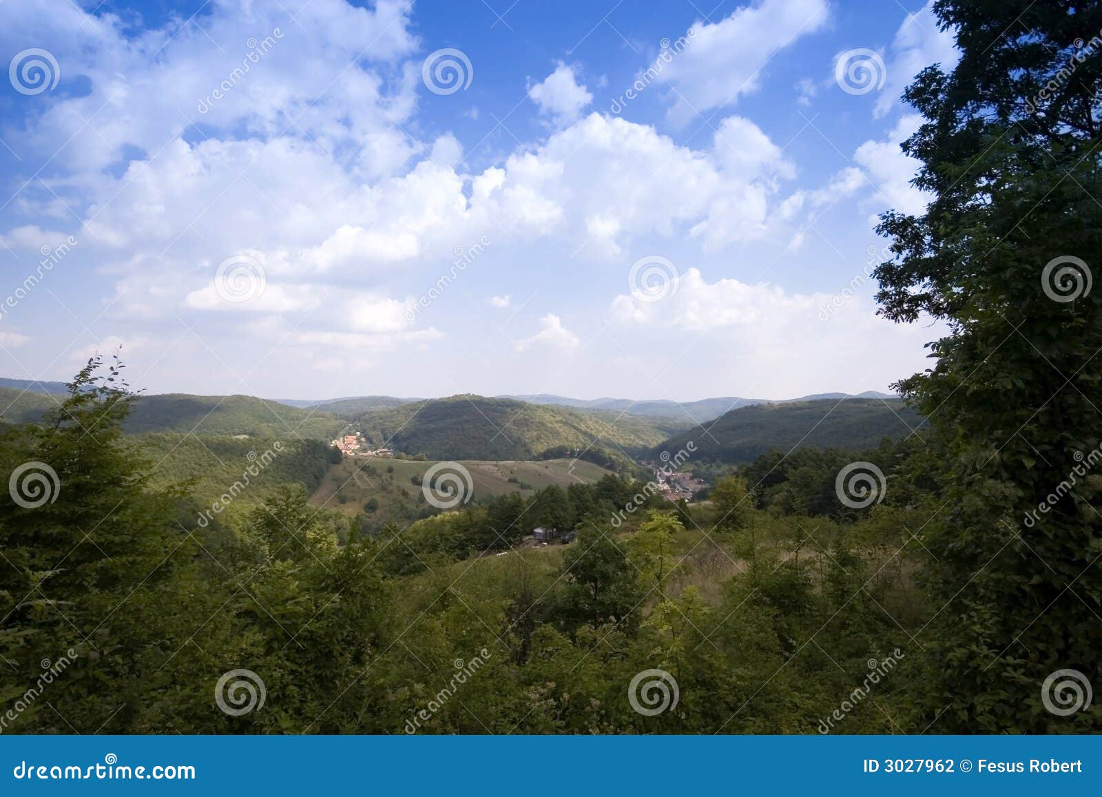 Fine forest valley stock photo. Image of relax, grassland - 3027962