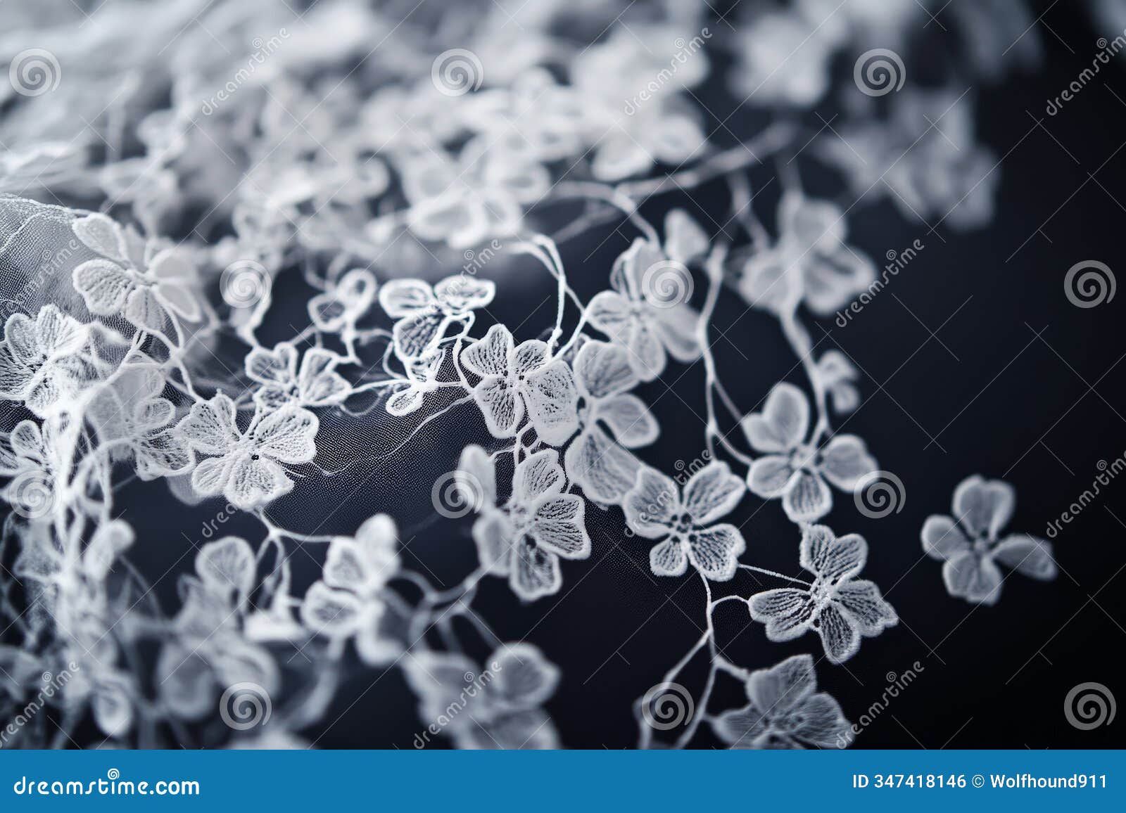 Fine Lace Texture, Delicate White Floral Patterns Against a Dark ...
