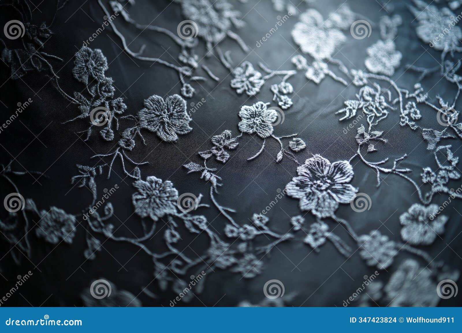 Fine Lace Texture, Delicate White Floral Patterns Against a Dark ...