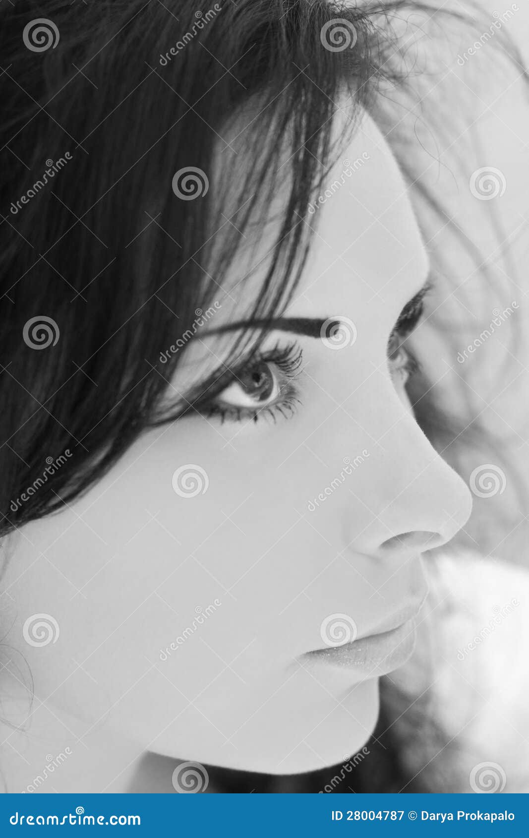 Fine lady stock image. Image of youth, brunette, lady - 28004787