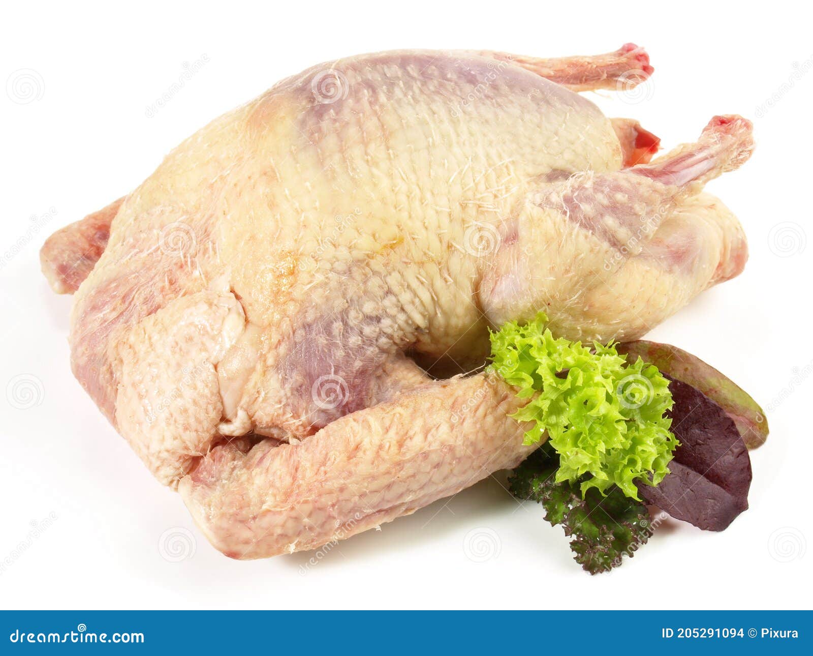Fine Meat - Raw Pigeon Isolated on White Background Stock Photo - Image ...