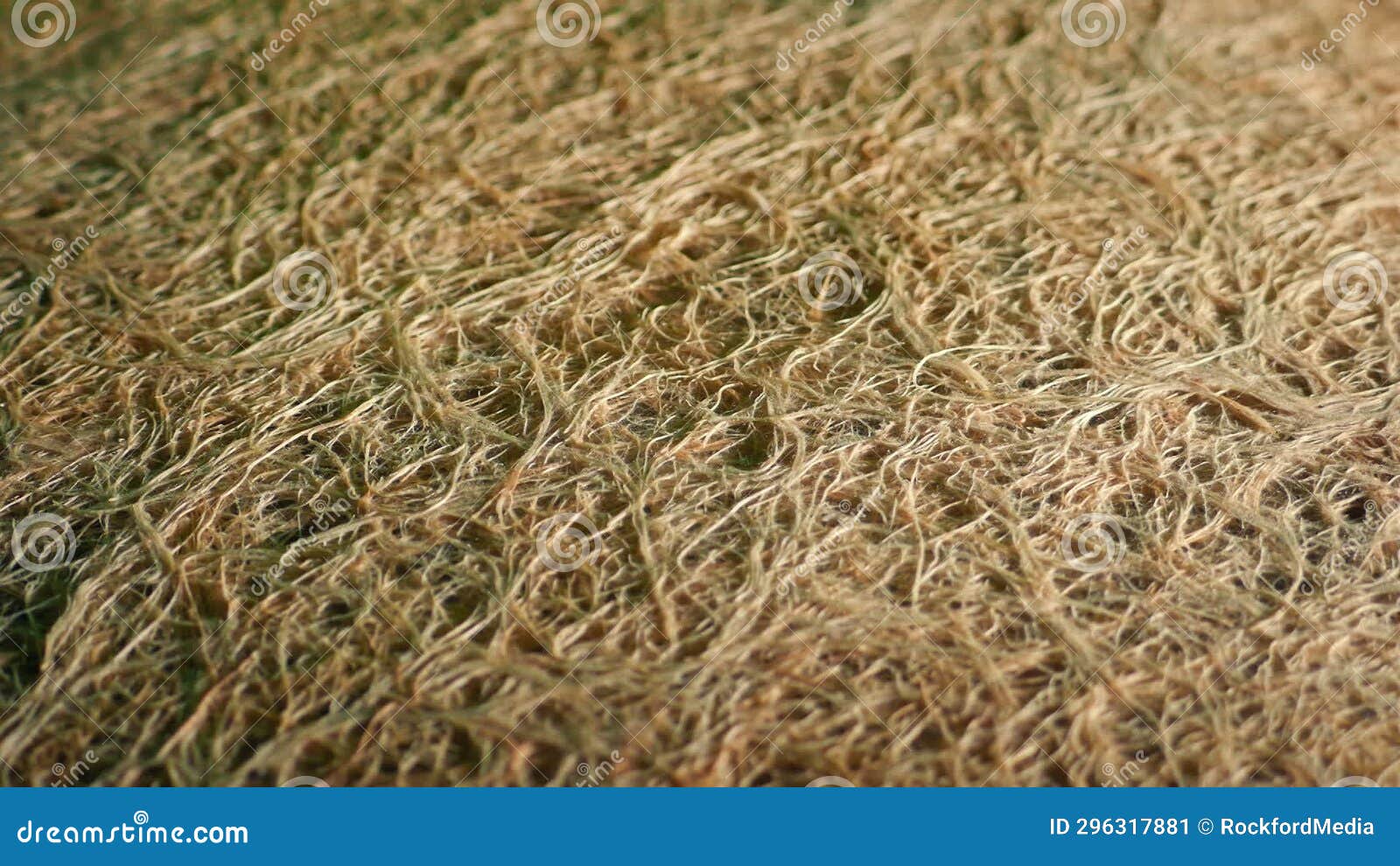 Dense Root Structure Circling Shot Stock Video - Video of organic ...