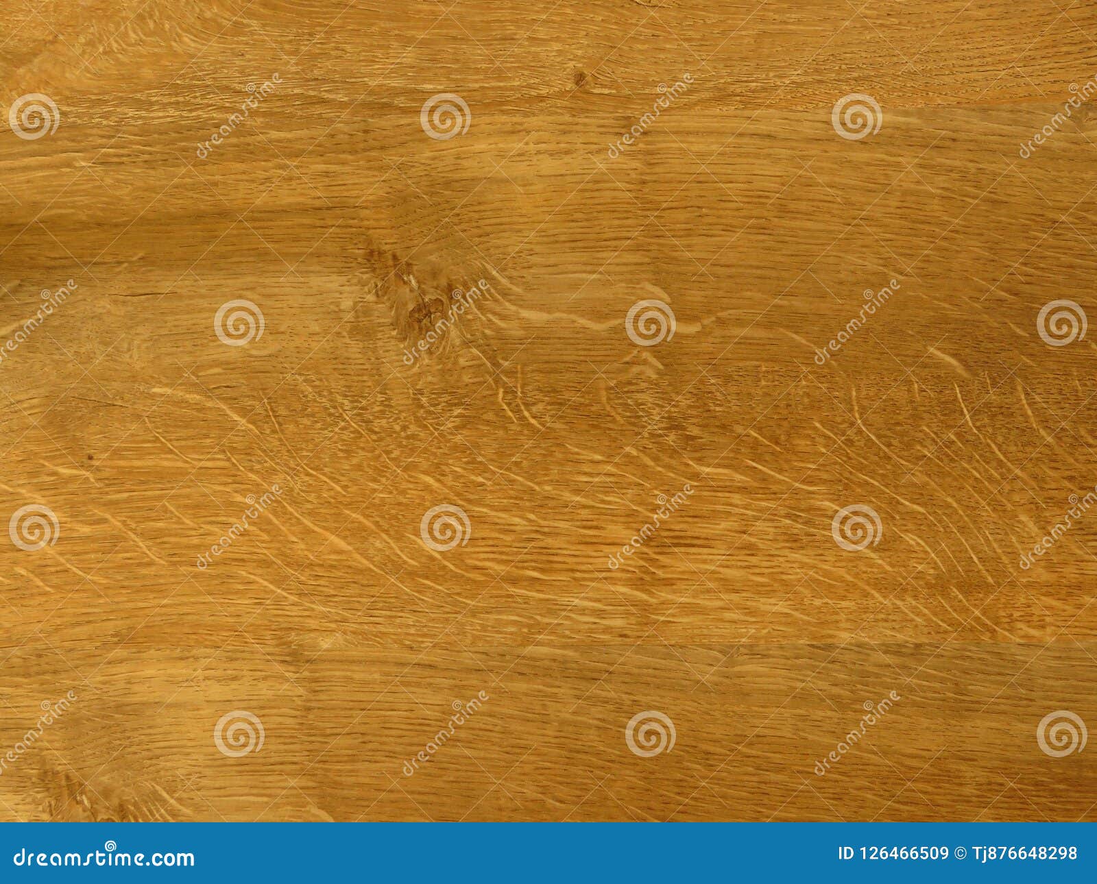 Golden Oak. Fine Oak Tree Wood Texture Pattern Background. Exquisite ...