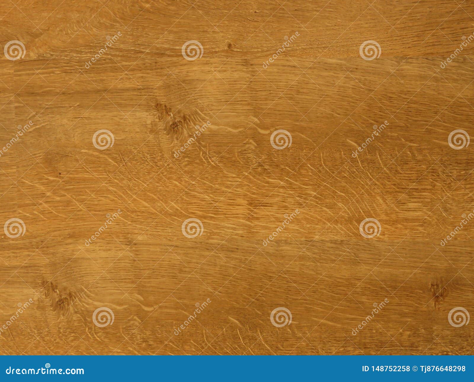 Fine Oak Tree Wood Texture Pattern Background. Exquisite Design Oak ...