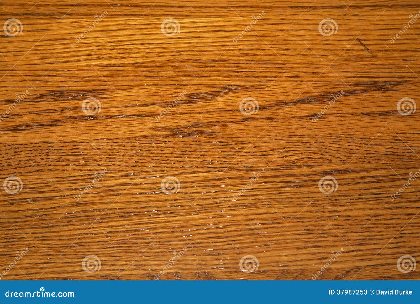 Fine Oak Wood Grain Background Stock Image - Image of texture ...