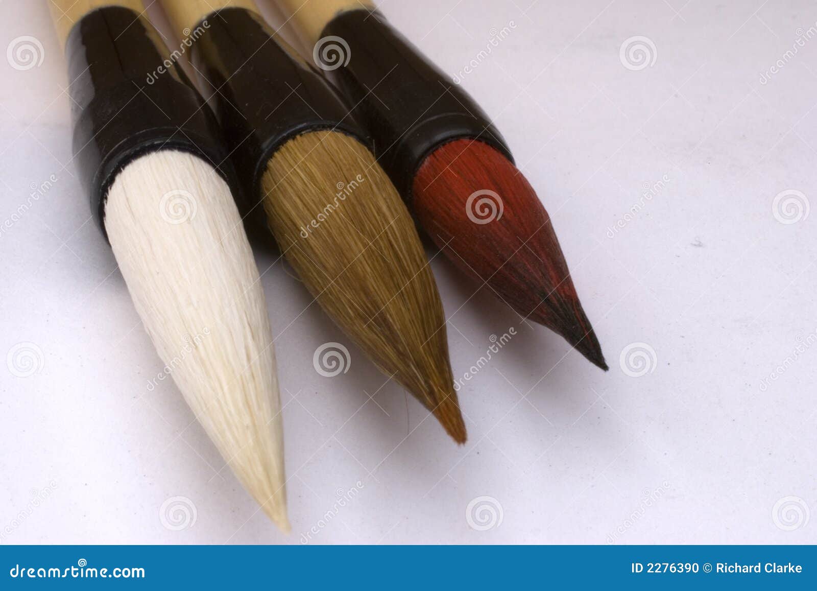 Fine Paintbrush On White Backg Picture. Image: 2276390