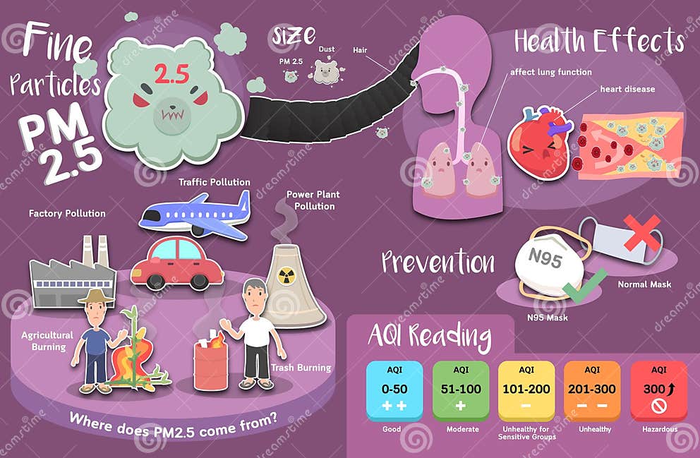 Fine Particles PM 2.5 Infographic Stock Vector - Illustration of cancer ...