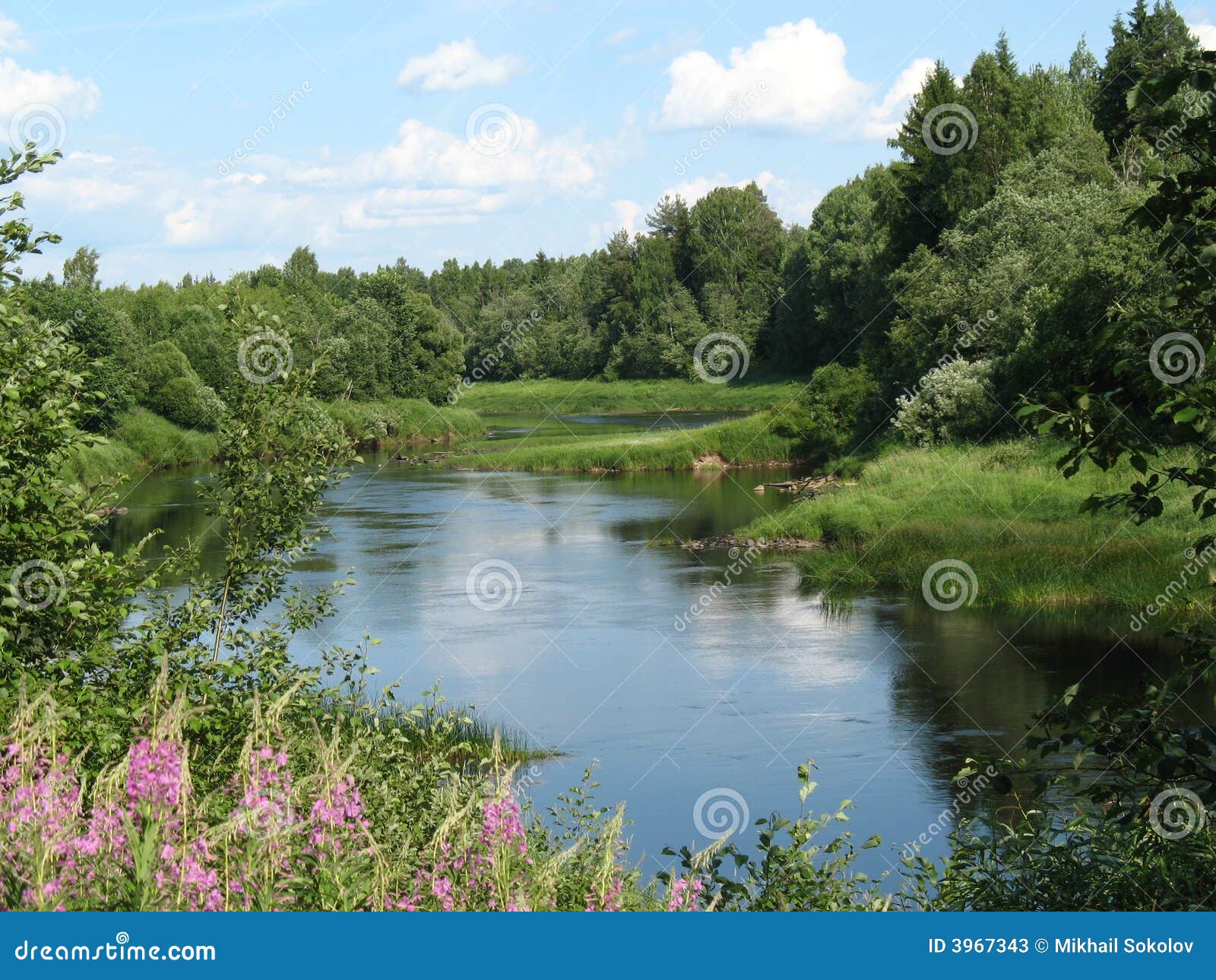 The fine river stock image. Image of rest, pacification - 3967343
