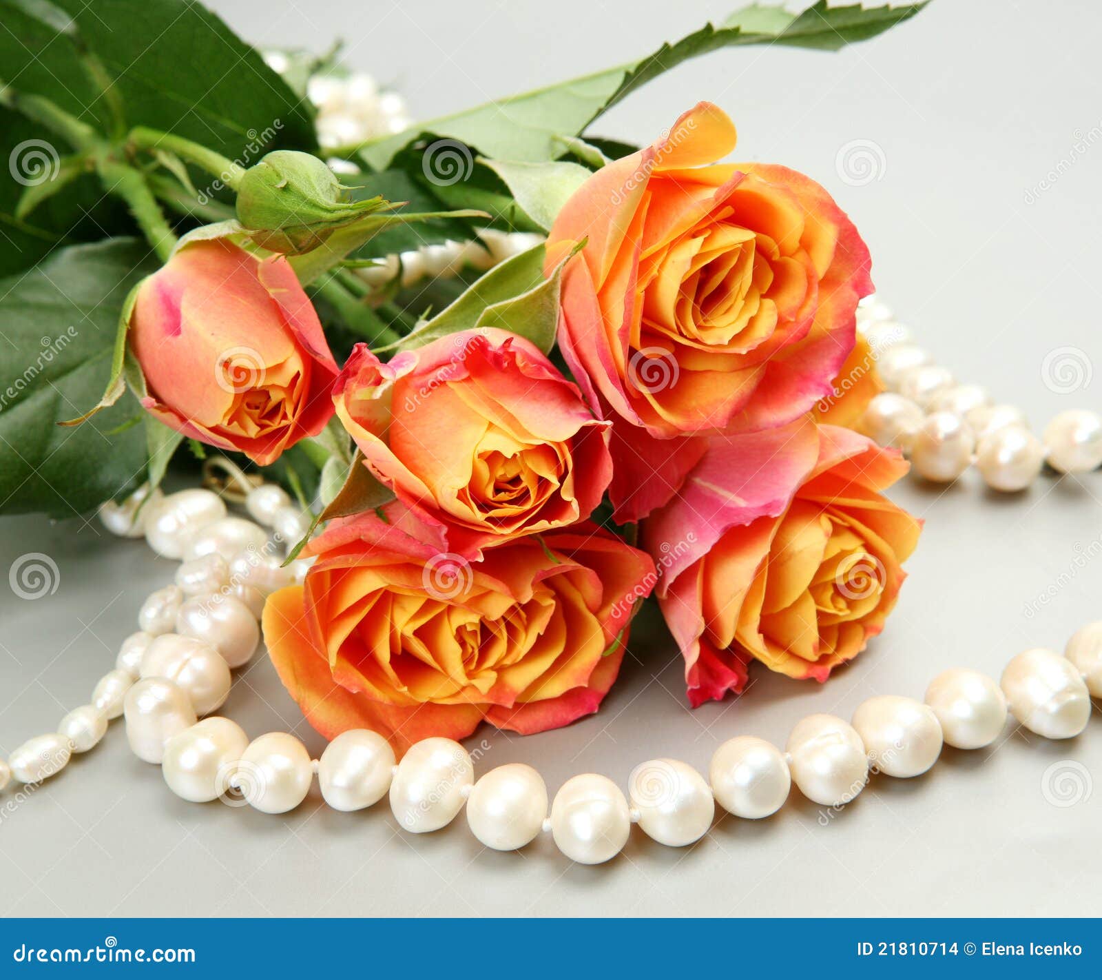 Fine roses stock photo. Image of aroma, rose, florists - 21810714