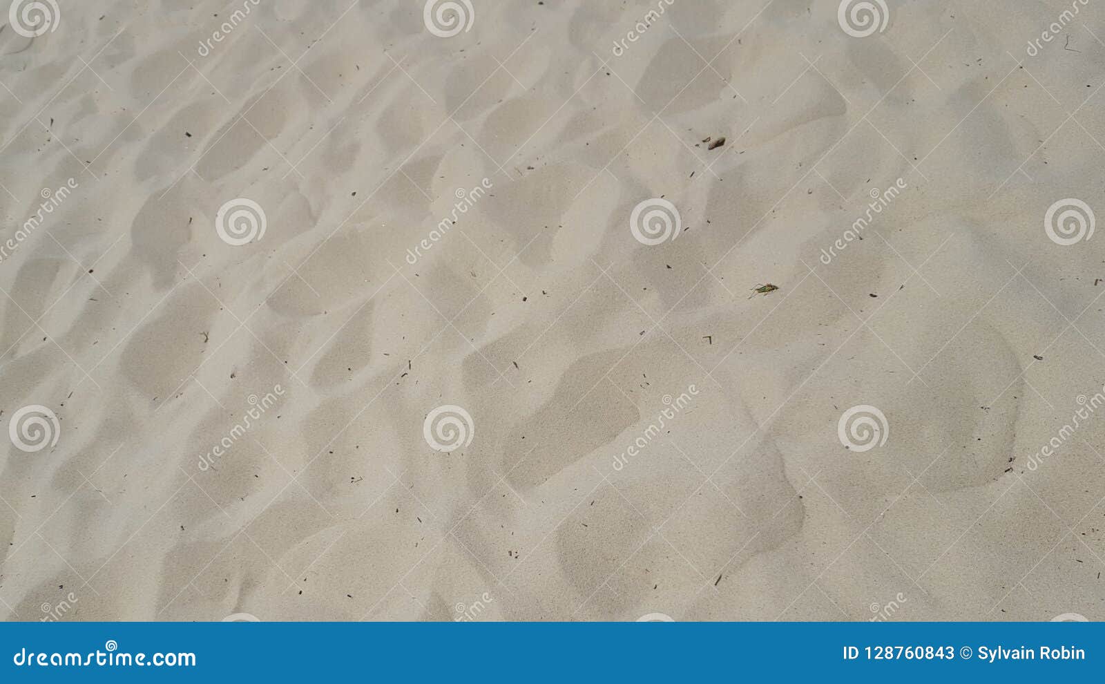 Fine Sand Beach for Background Stock Image - Image of natural, nature ...